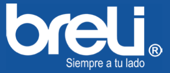 BRELI 2023